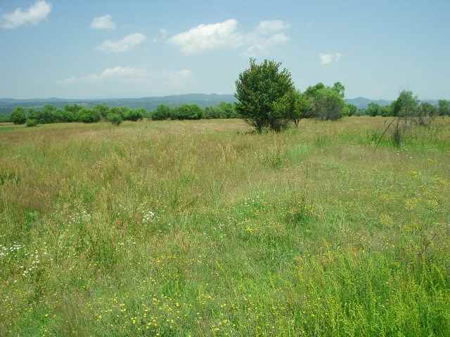 Development of Agricultural Land Market in Bulgaria